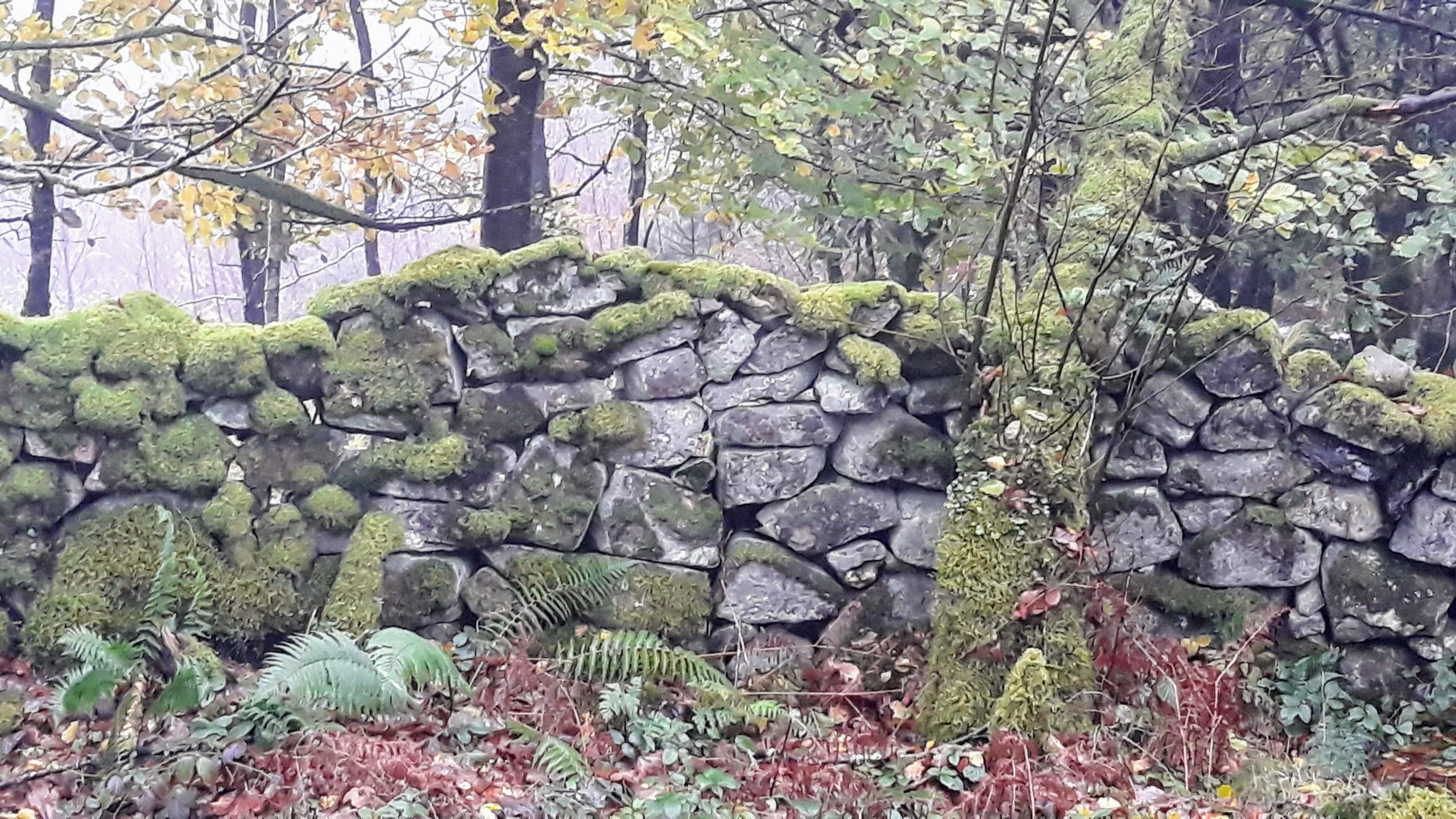 Burrator Reservoir – South West Heritage Trust