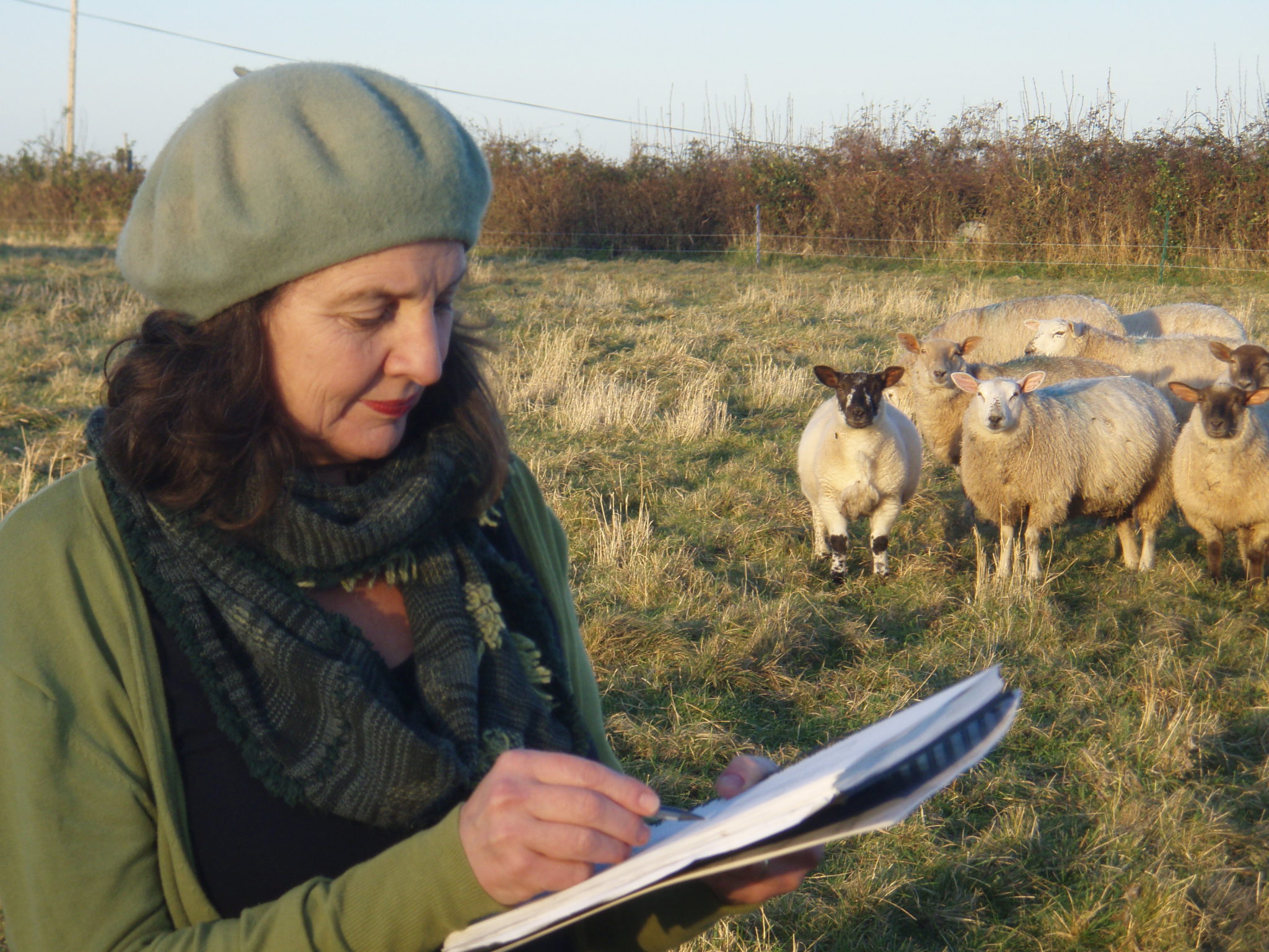 Kate Lynch Project and Exhibition – South West Heritage Trust