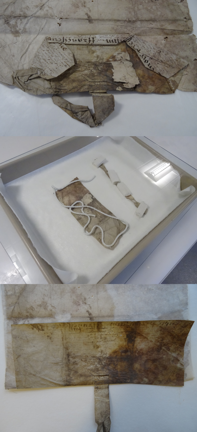 Probate Administrators Accounts Project Complete – South West Heritage ...