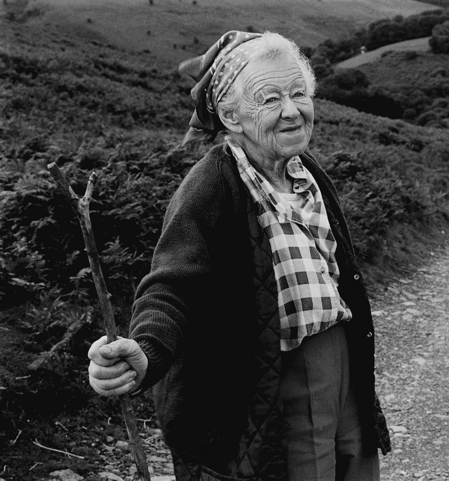 Announcing the New Exmoor Oral History Archive Website – South West ...