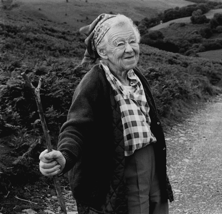 What’s On – South West Heritage Trust